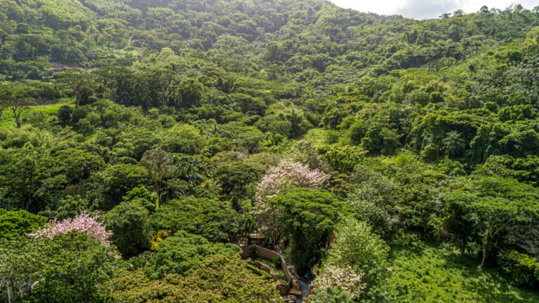 Jessamine Eden Wellness Farm - Grenada Tourism Authority