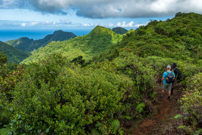 Grand Etang National Park & Forest Reserve - Grenada Tourism Authority
