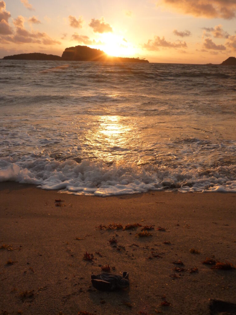 Ocean Spirits - Grenada Tourism Authority