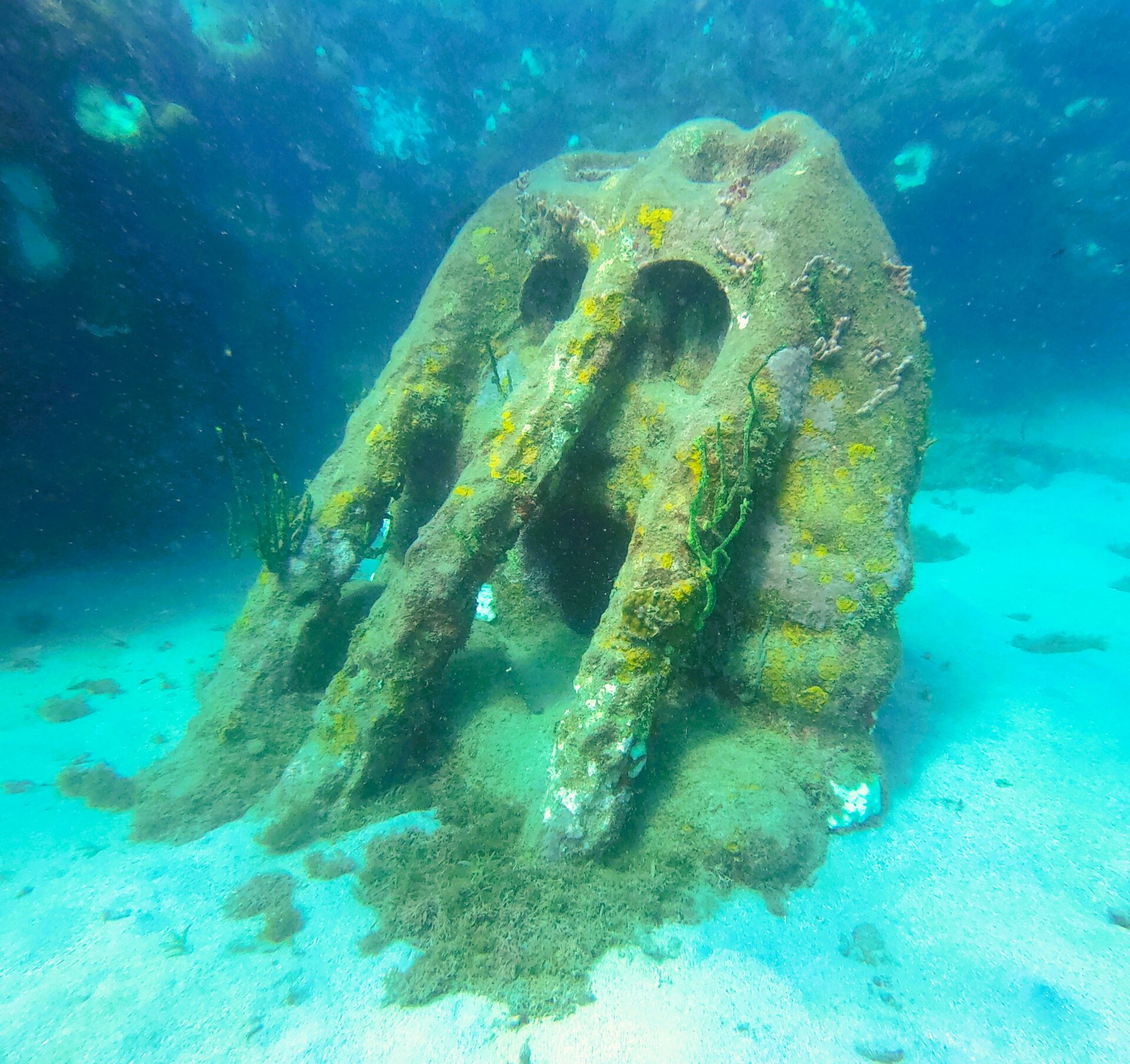 Underwater Sculpture Park - Grenada Tourism Authority