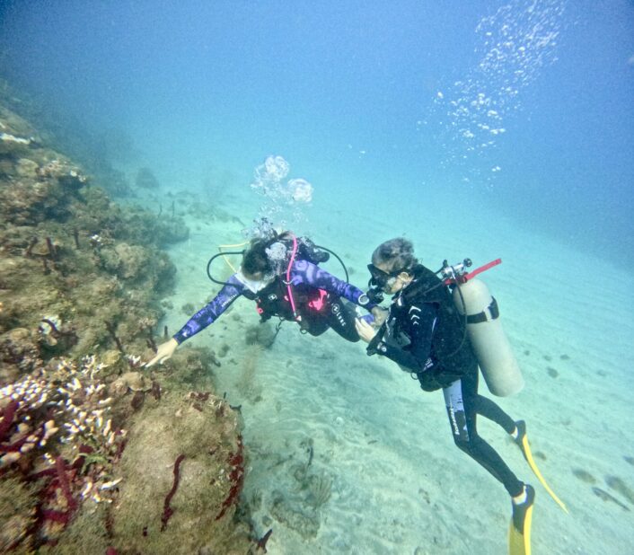 Scuba West Indies - Grenada Tourism Authority